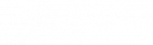 Home - Toronto Foundation