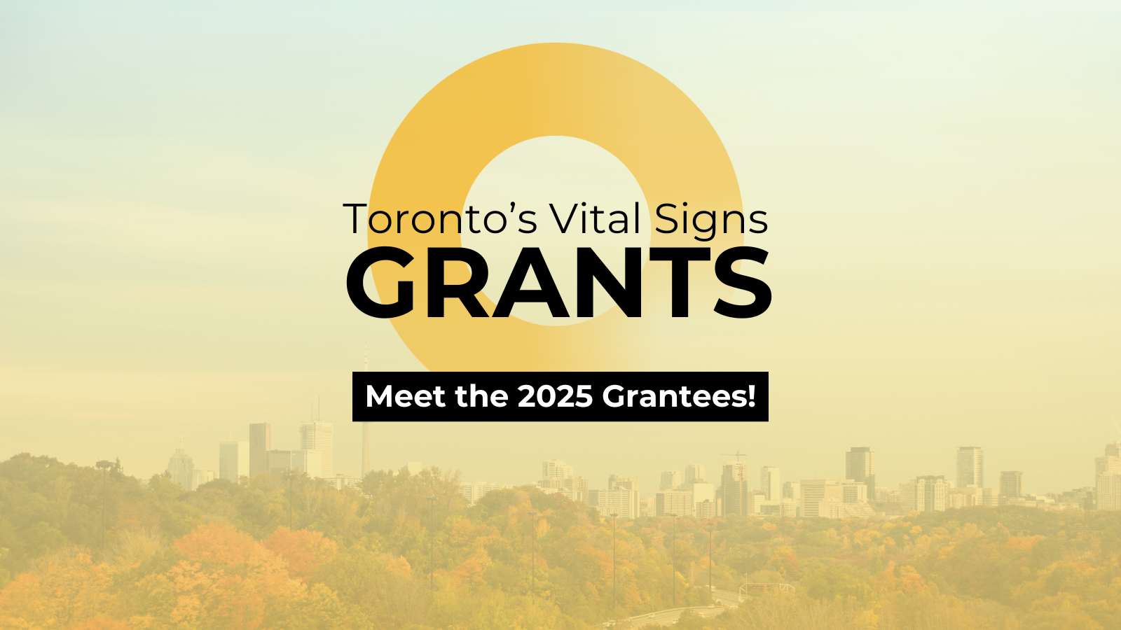 Announcing the 2025 Toronto’s Vital Signs Grantees - Toronto Foundation